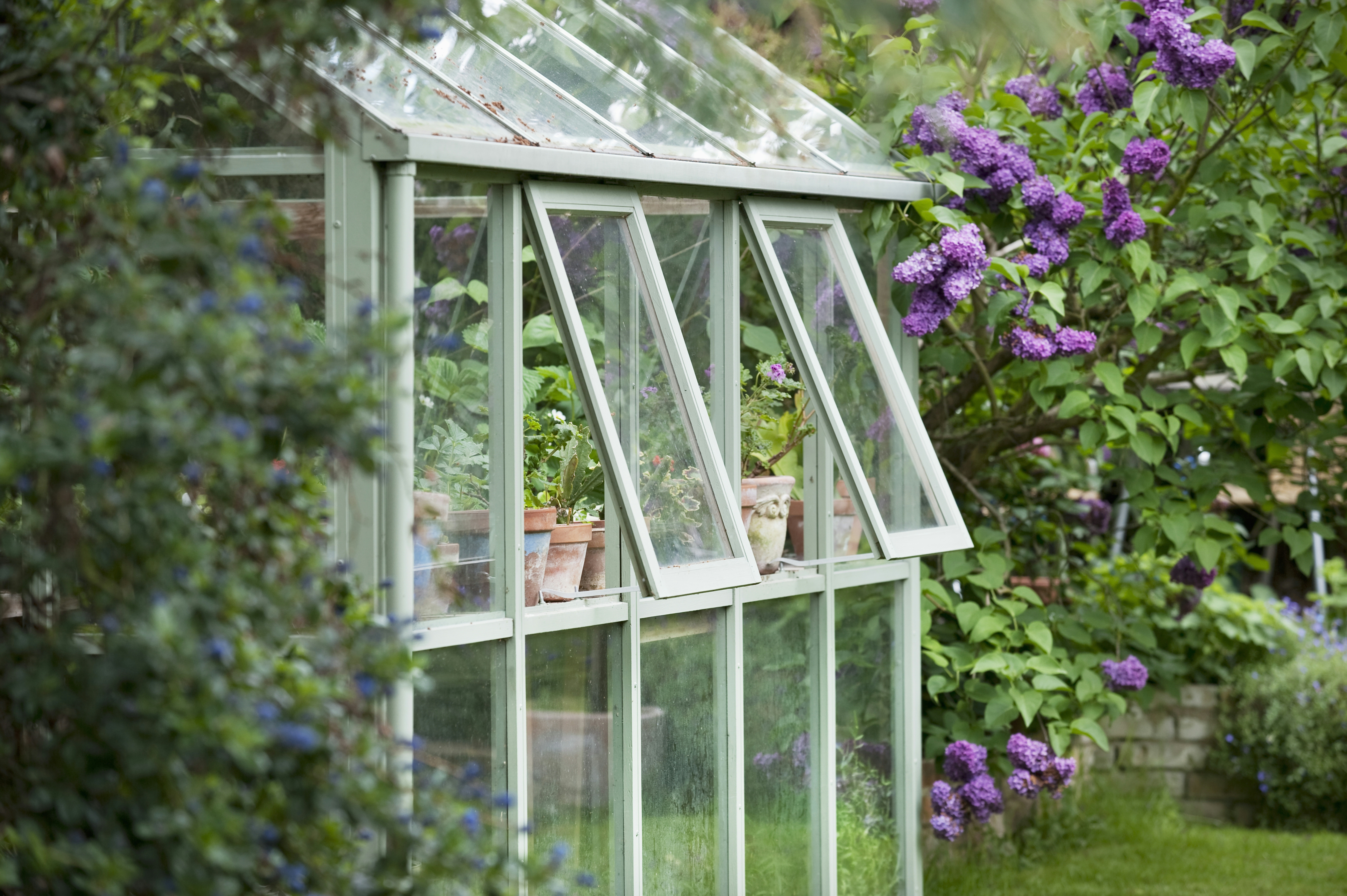 8 Steps To Building The Perfect Indoor Grow Room