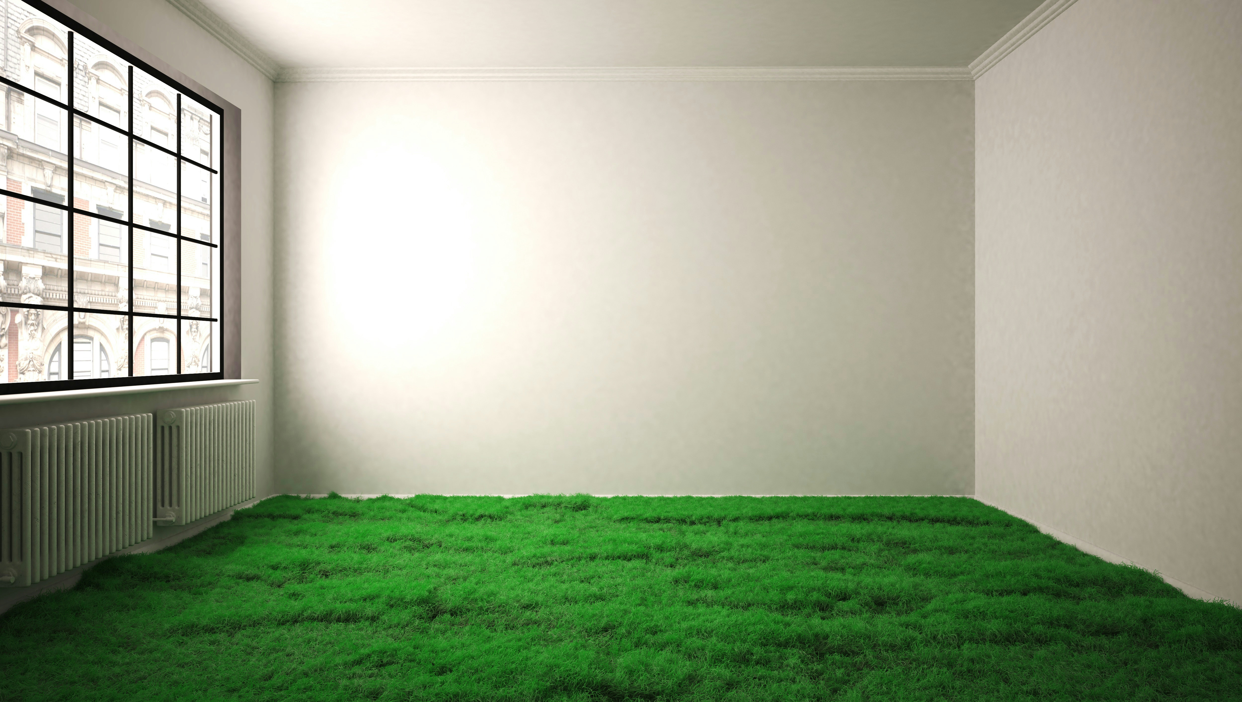 8 Steps To Building The Perfect Indoor Grow Room