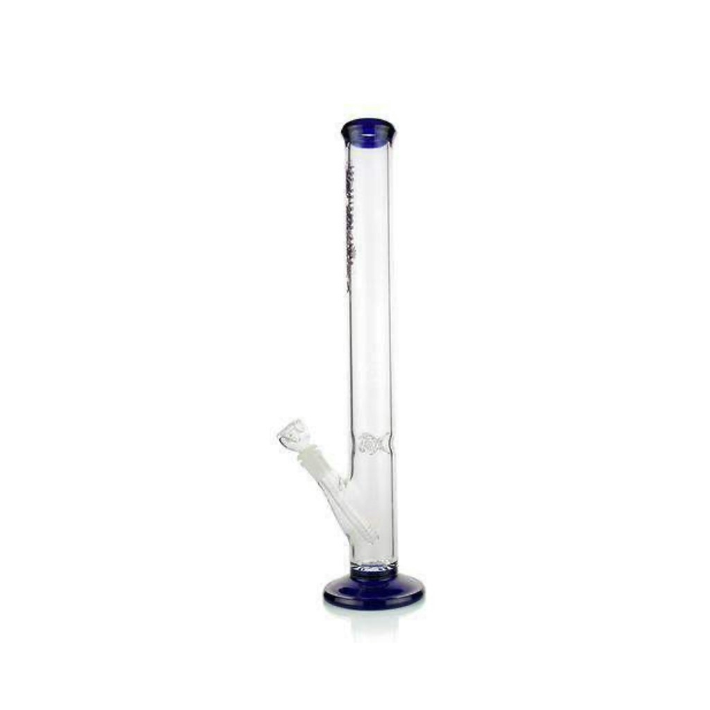 A Complete Guide Of The Best Bongs On The Market In 2021 | Herb