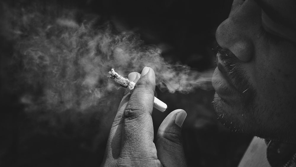 Smokebuddy Review and How to Use | Herb