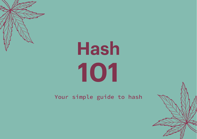 Hash 101: Everything You Need To Know | Herb