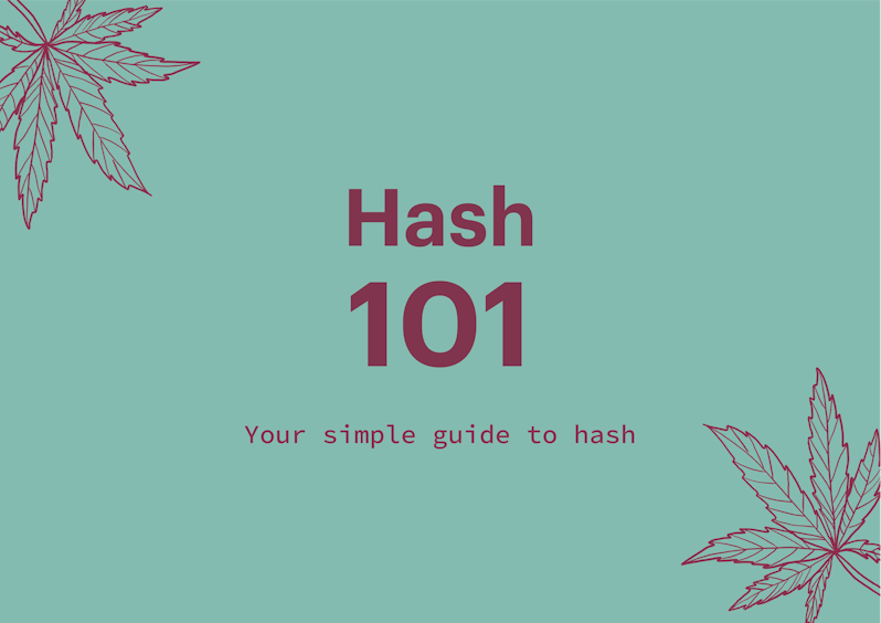 Hash 101: Everything You Need To Know | Herb