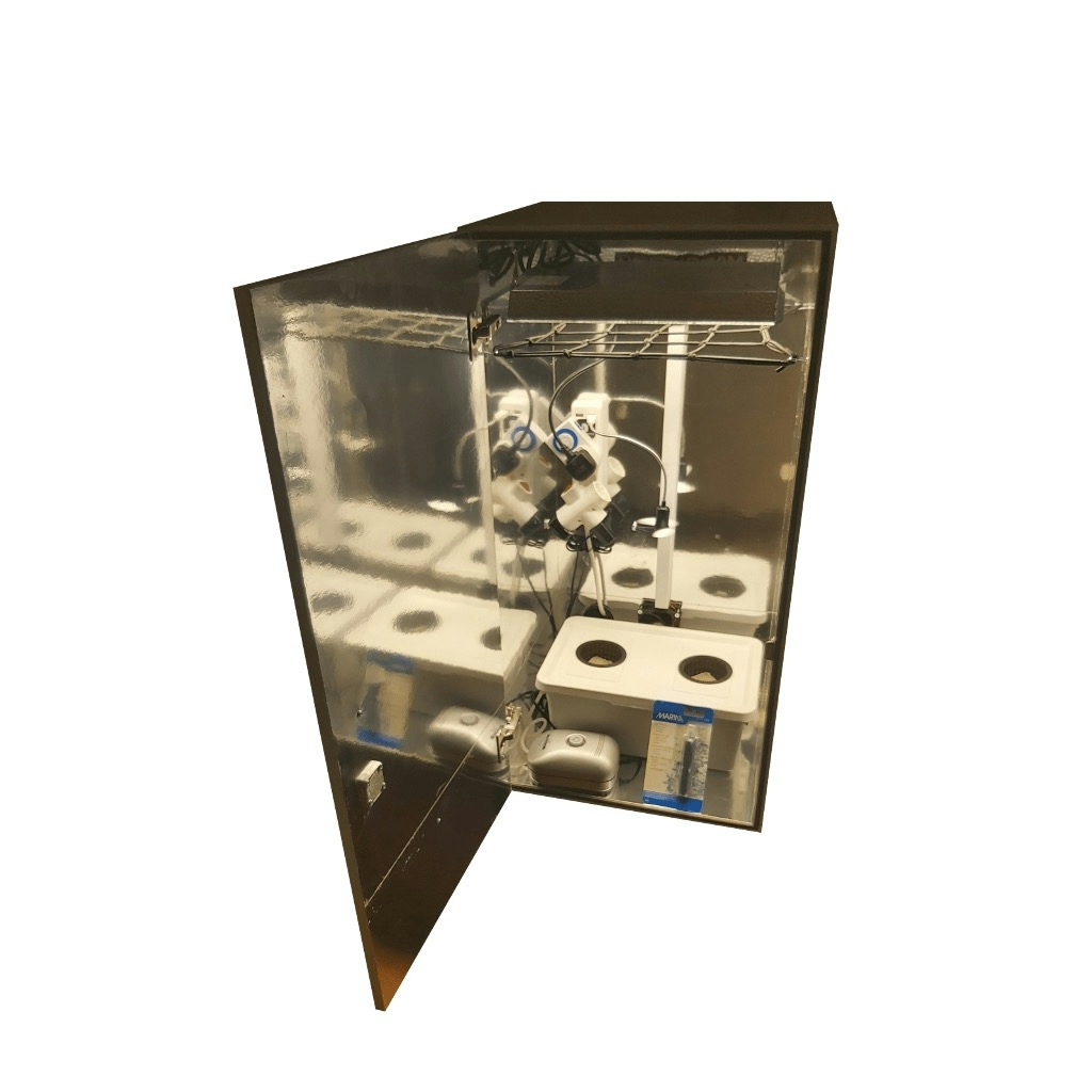 How To Grow Weed From Home With Grow Box