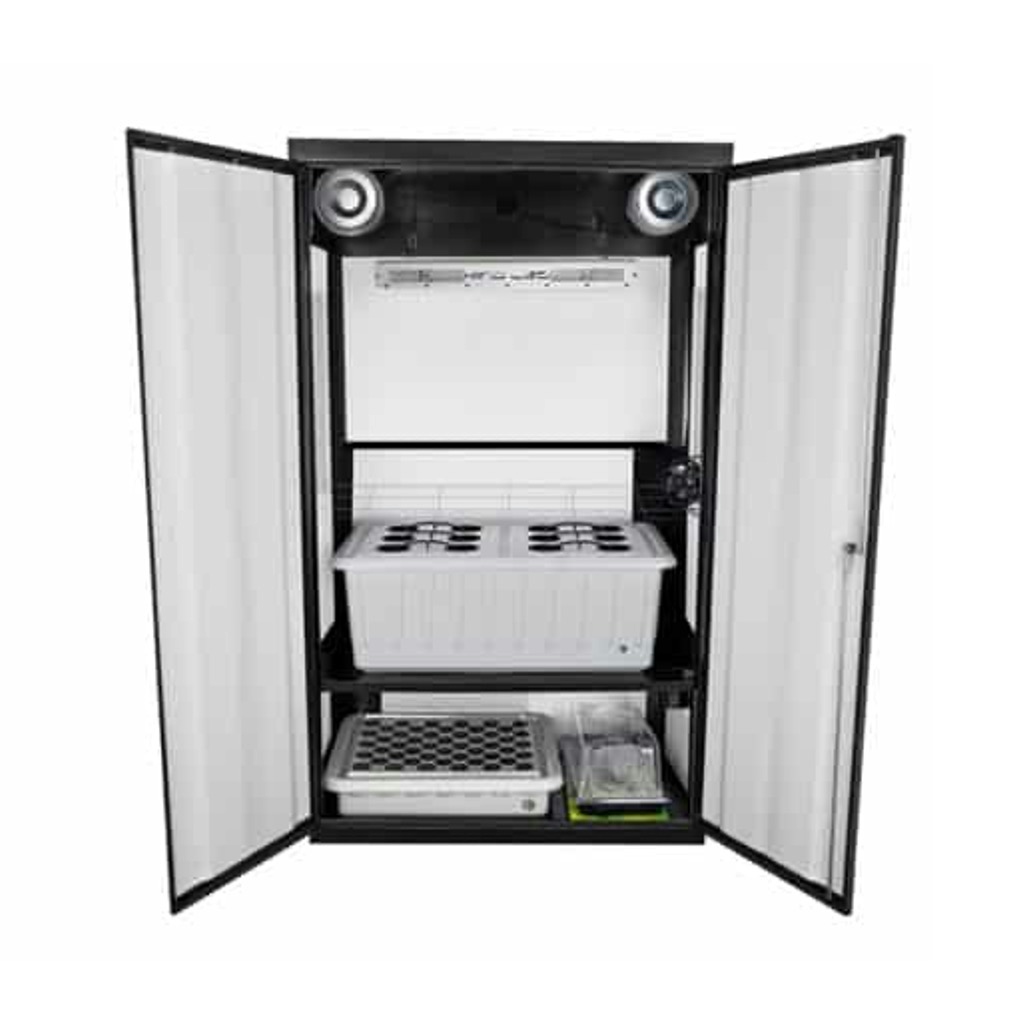 How To Grow Weed From Home With Grow Box