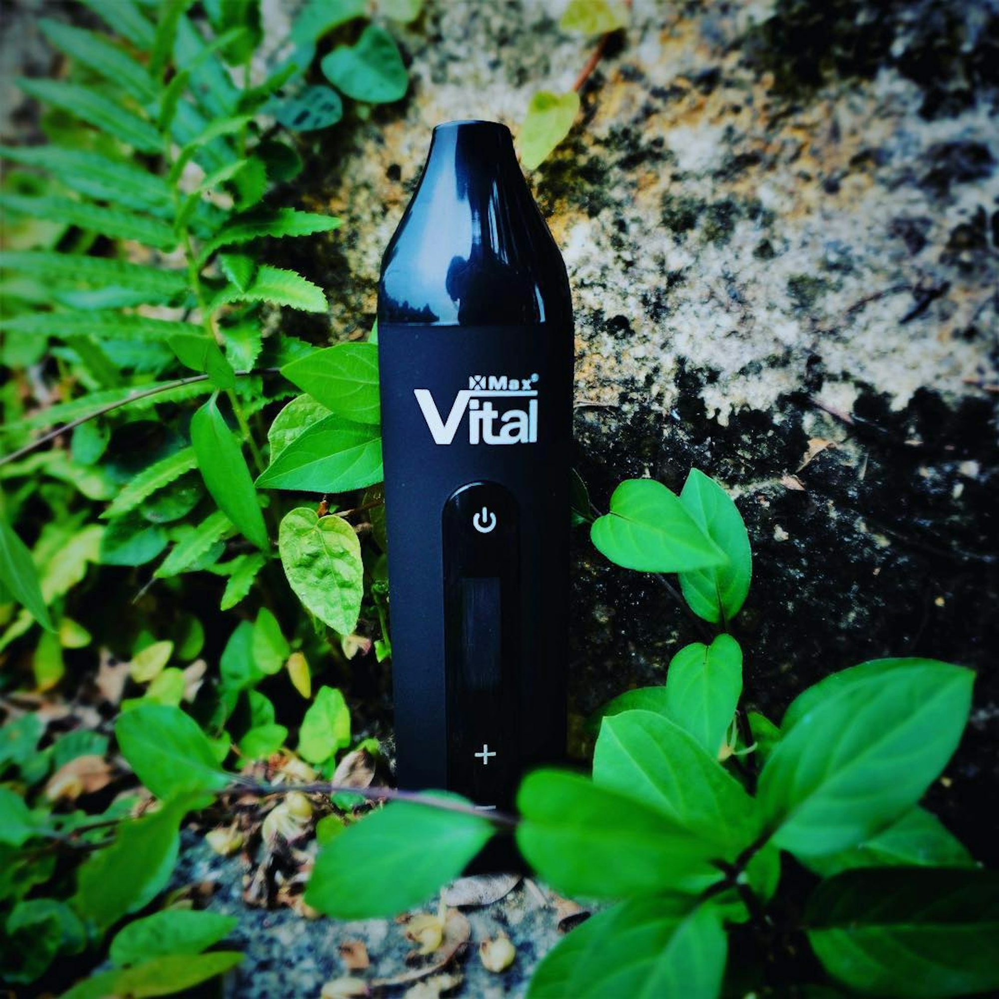 XVAPE Vital Review: Full Ceramic Heating Vape Power | Herb