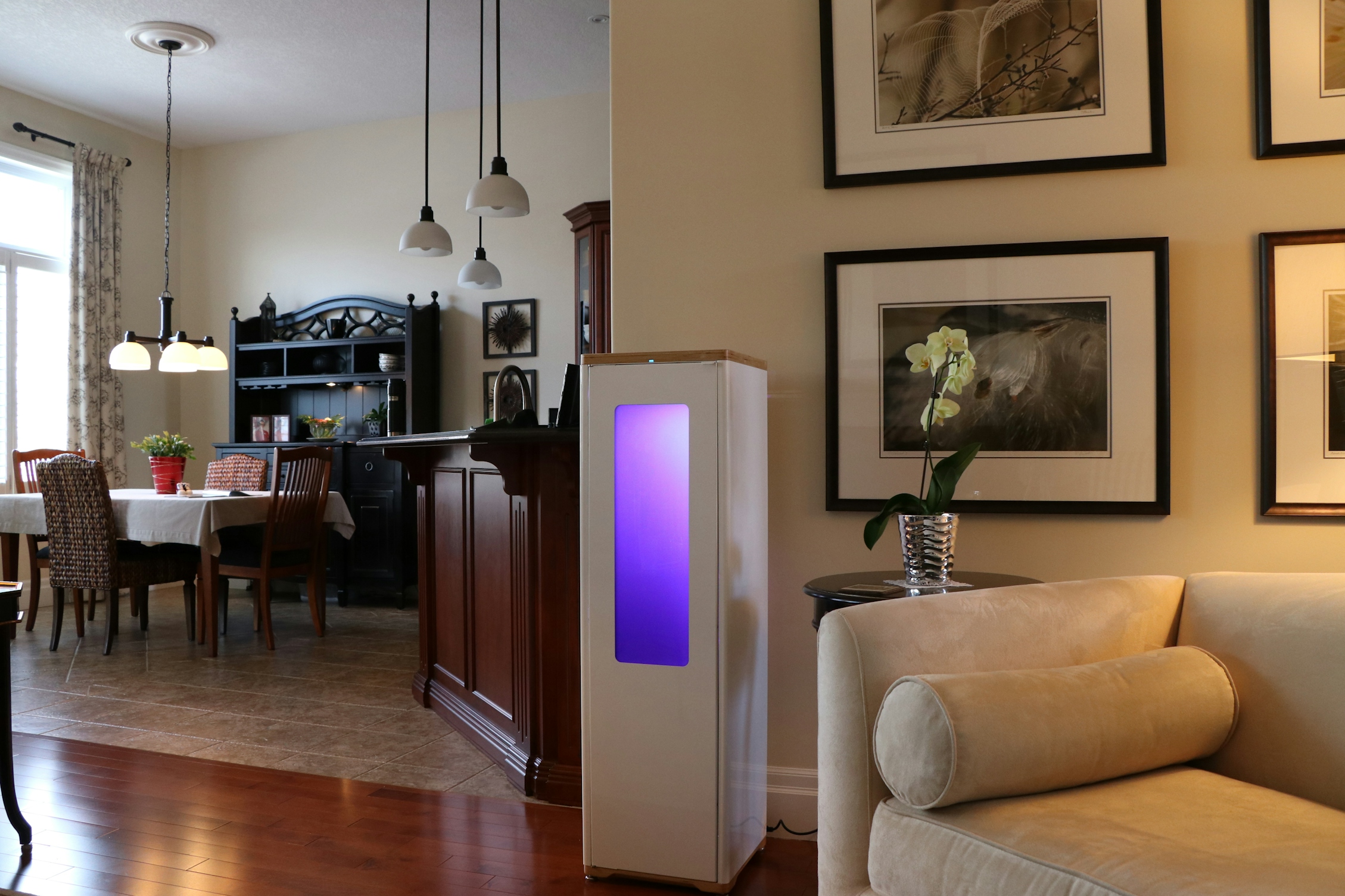 Grobo Grow Box Review 2022: Everything You Need To Know | Herb