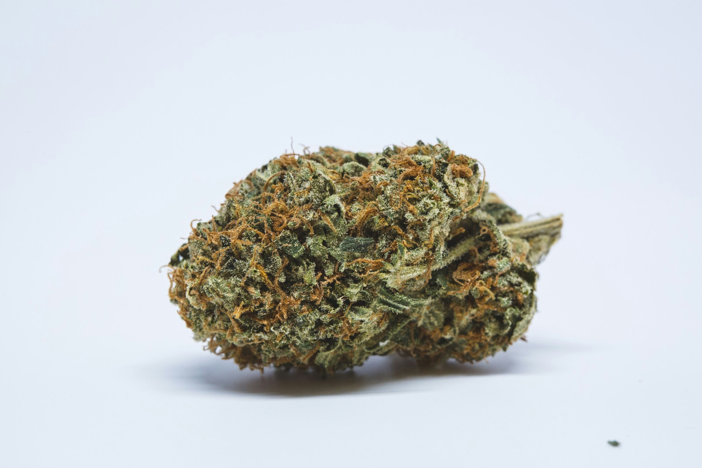 The Most Exotic Cannabis Strains Out There | Herb