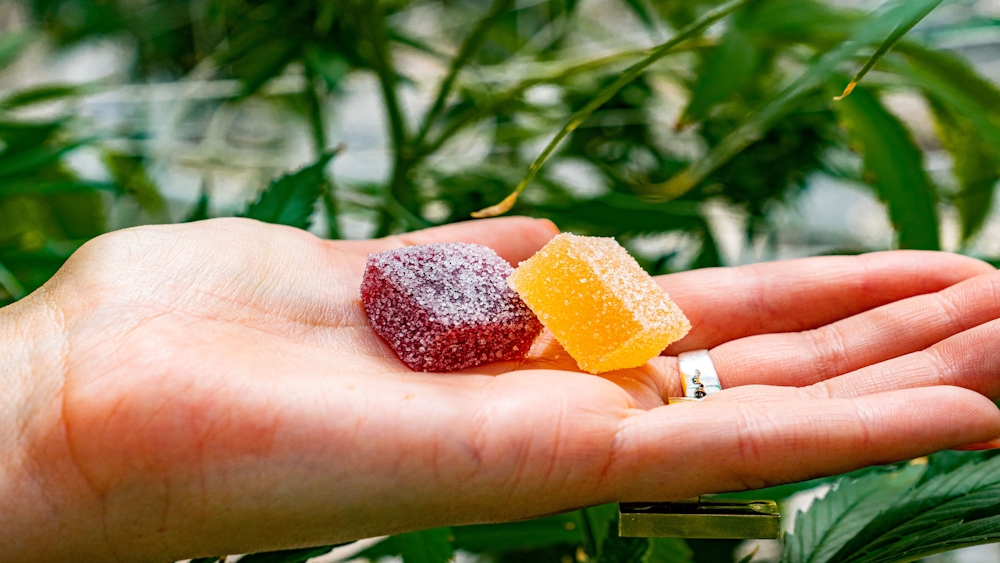 The Best Edibles For Migraines: Sweet Solutions To Soothe The Pain | Herb