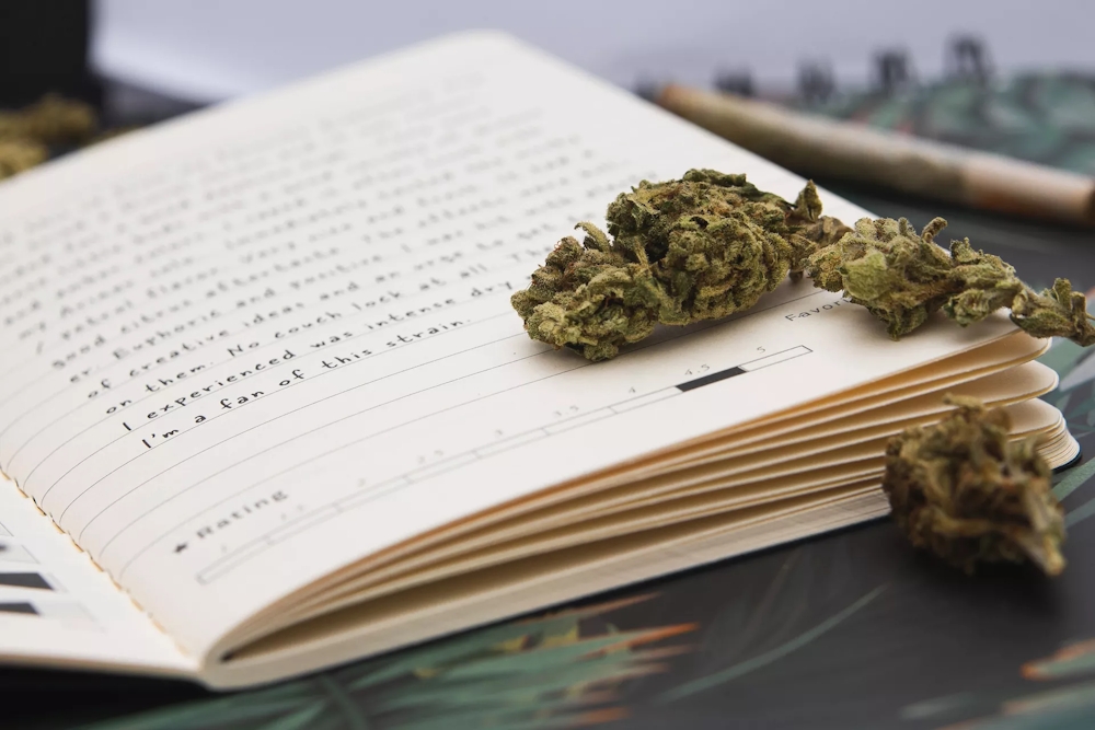 Top Creative Thinking Journals To Enhance Your High | Herb