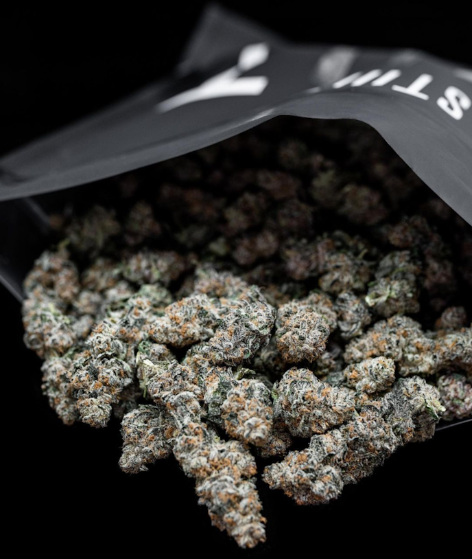 Stiiizy Flower Review: A Premium Experience | Herb