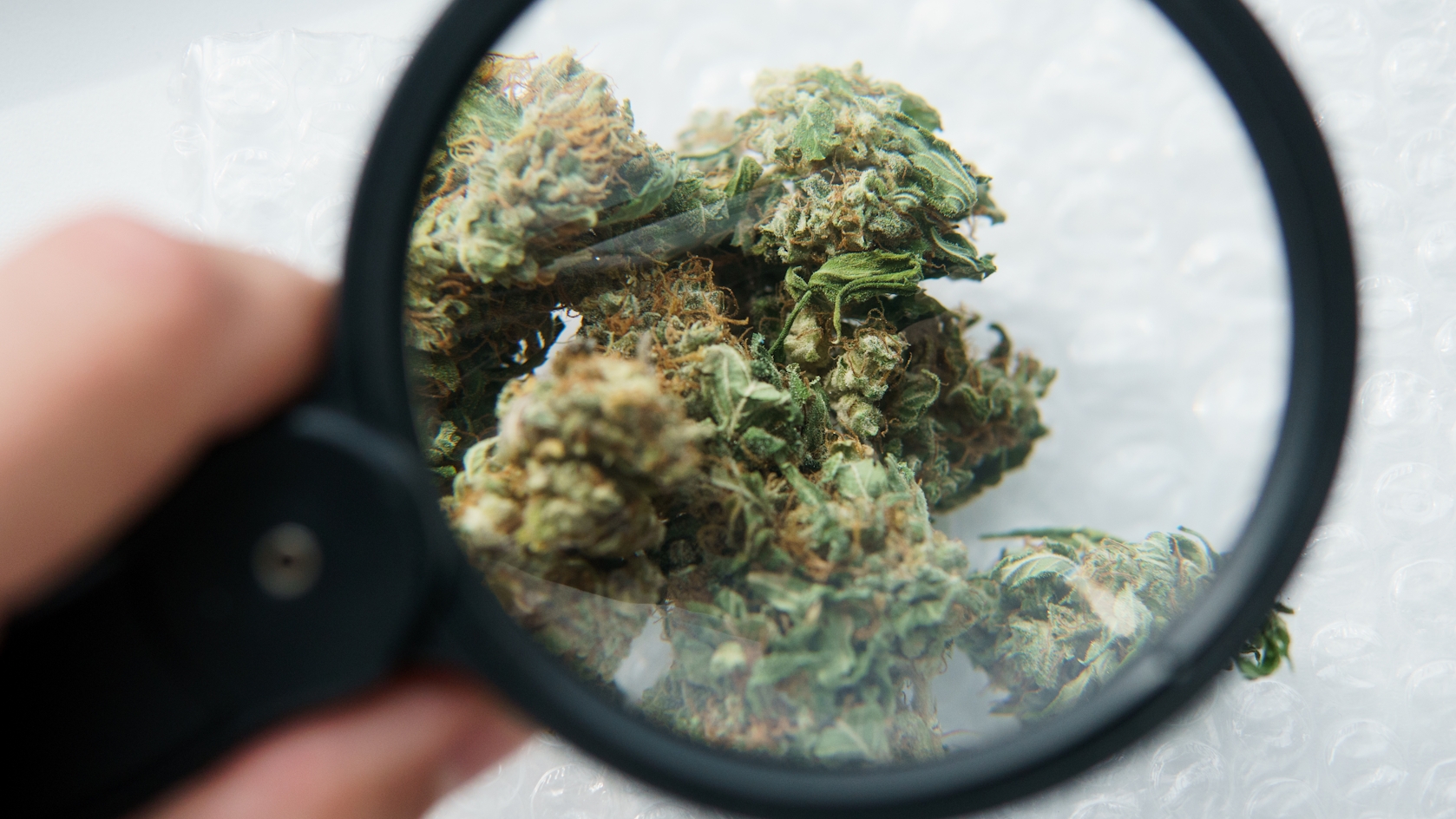 HHC-O: Everything You Need To Know | Herb