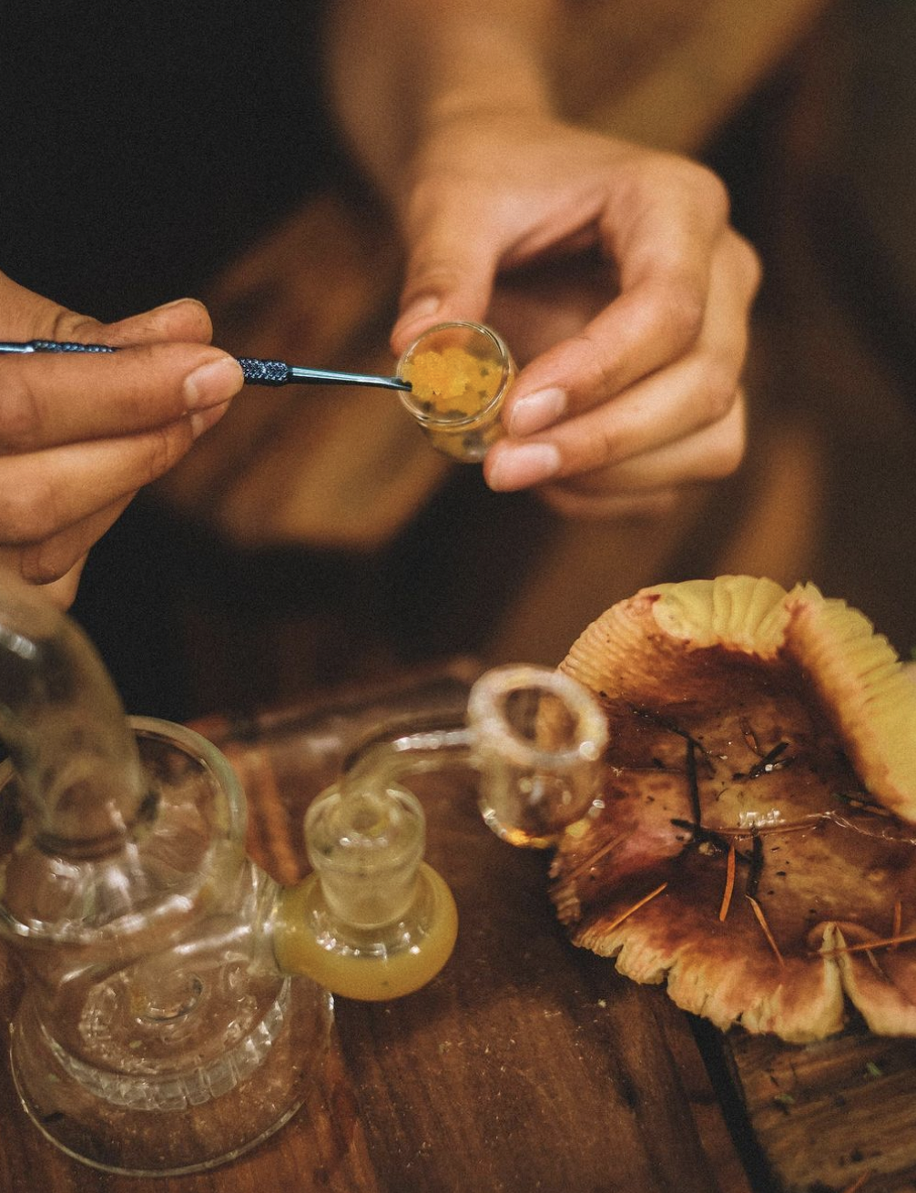 HHC Vs. HHC-O Vs. HHC-P: Cannabinoids Compared | Herb