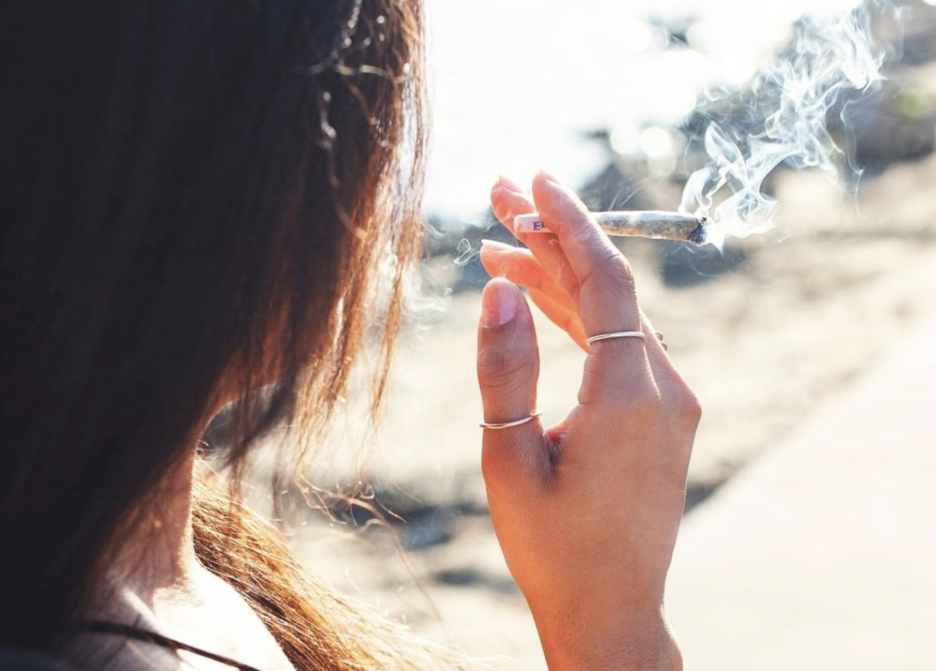 Is Sticky Weed Good? Is Wet Weed Better Than Dry?