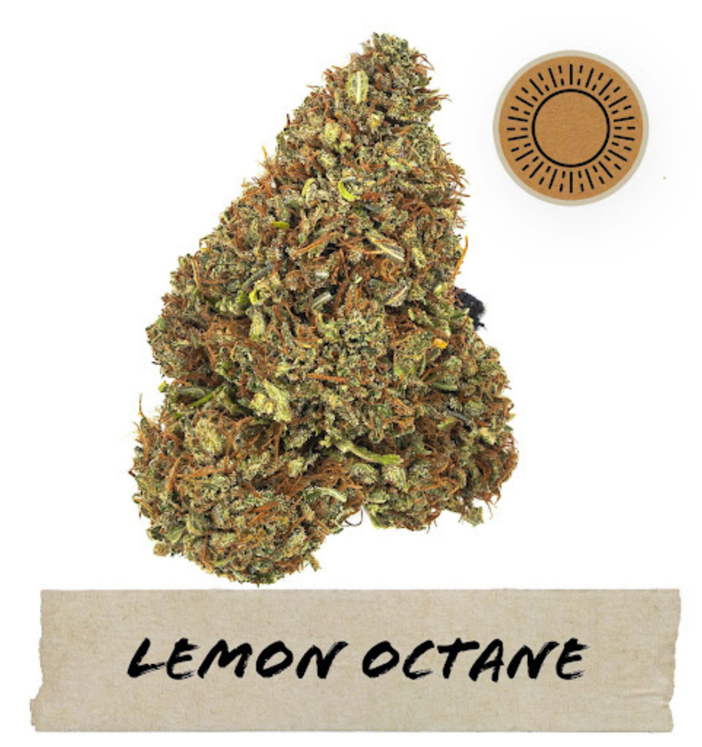 Rogue Origin Lemon Octane Hemp Flower | Herb