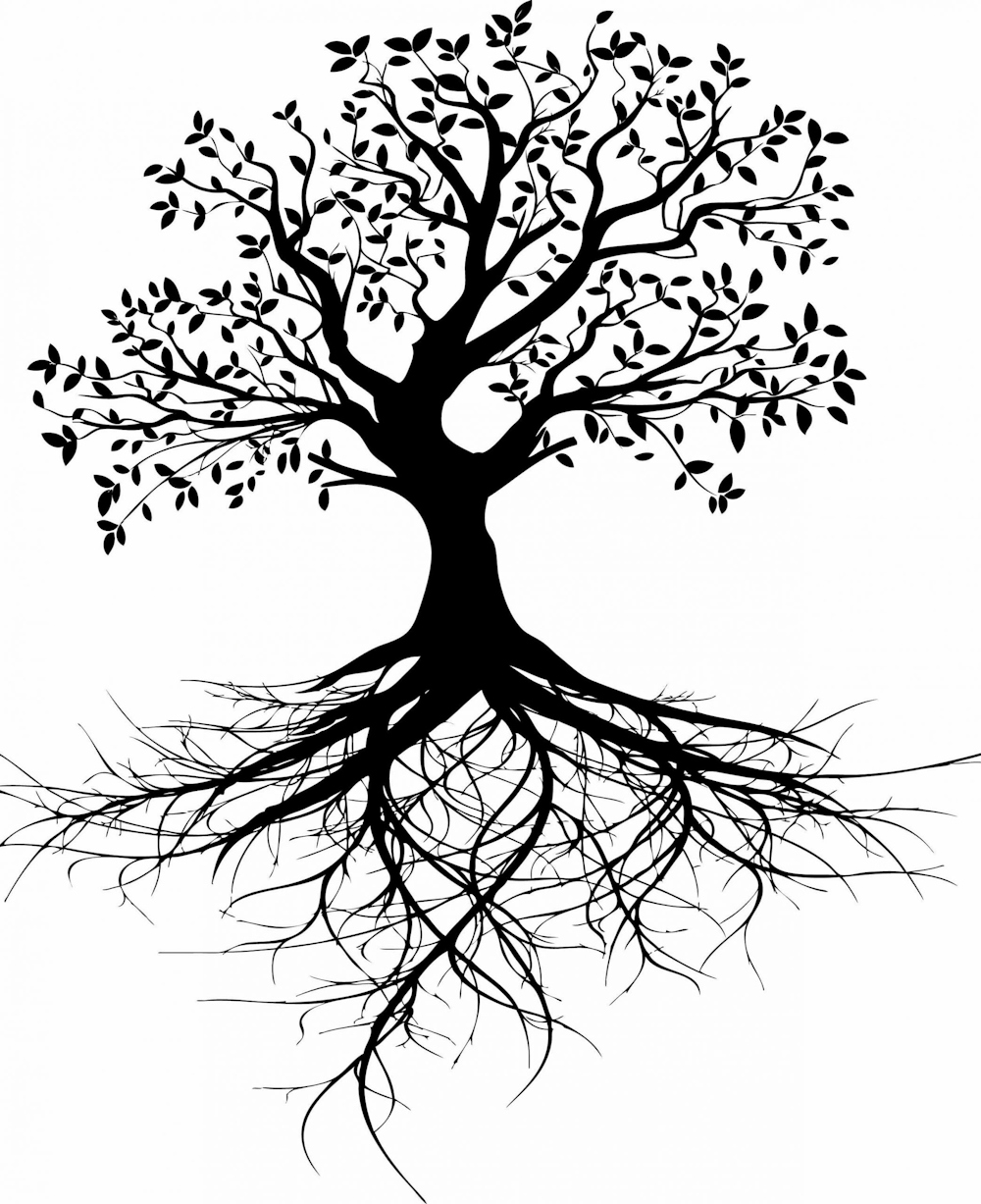 The Tree House Provision Center | Weed Dispensary in Coldwater | Herb