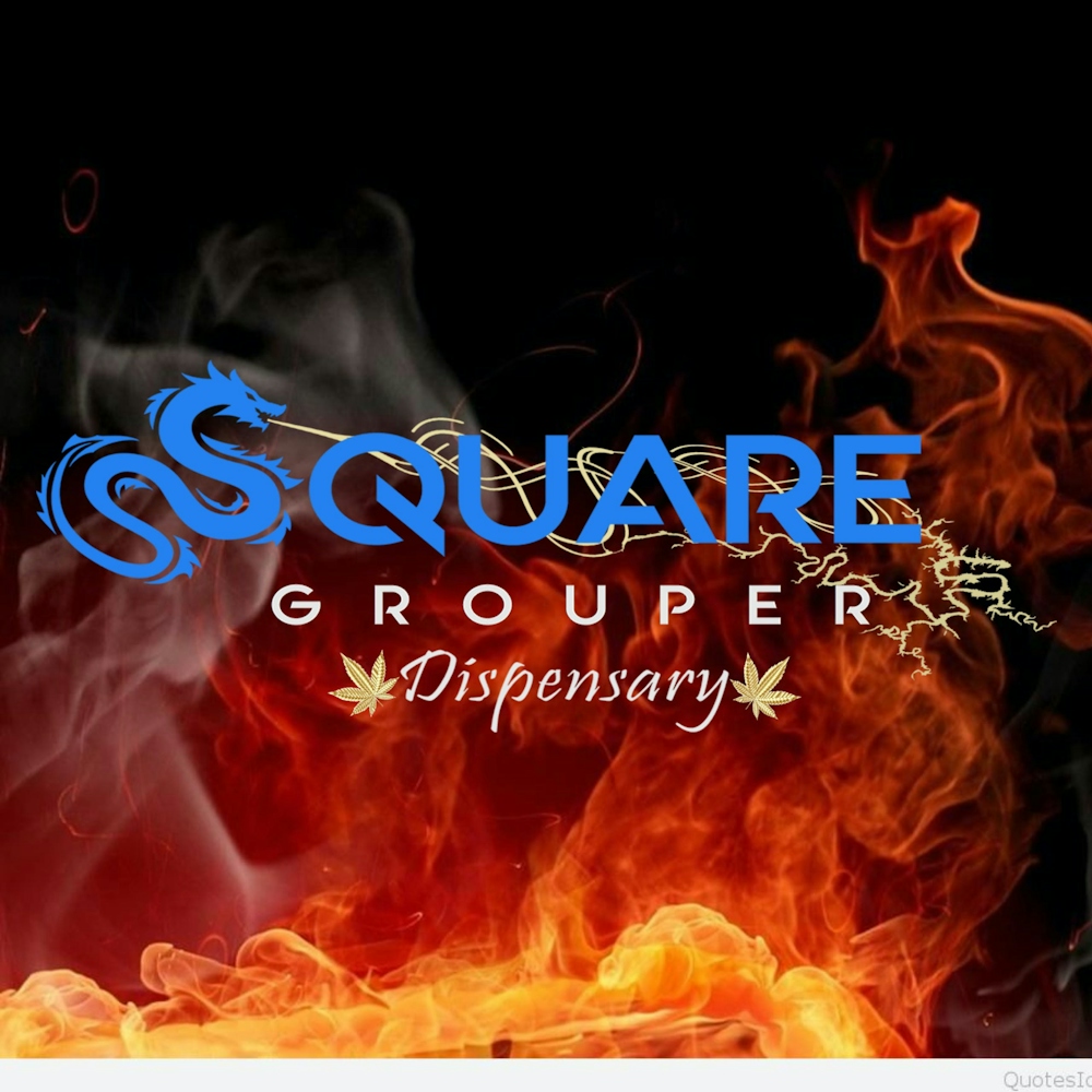 Square Grouper | Weed Dispensary in Gravois Mills | Herb