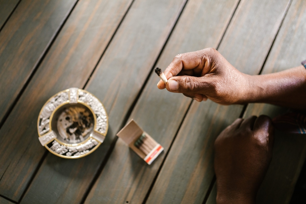Have You Tried the Best Pre-Rolls in Michigan in 2025? | Herb