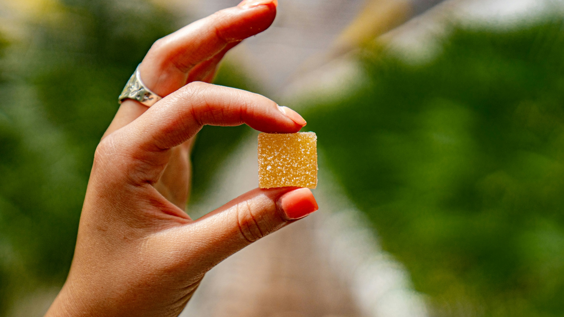 Behind the Brand: Why The Calm Leaf Is Your Reliable Cannabis Marketplace