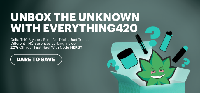 Best Weed Deals: Explore The Top Cannabis Discounts