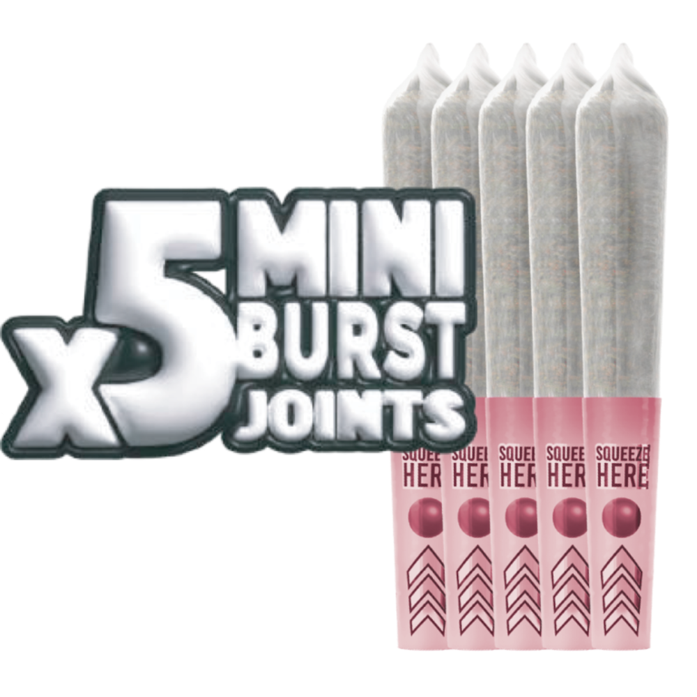 Packs Fun Gummies Mini Burst THCA Hash Rosin Joint -THCA – Guava ...