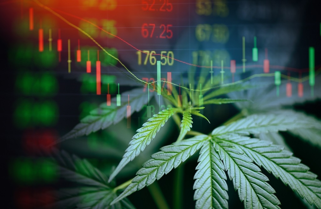 Cannabis Crypto Coins: What They Are & The Top Tokens To Watch | Herb
