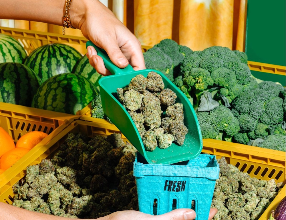 What Does Good Weed Look Like? Good vs Bad Weed (with Pictures) | Herb